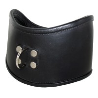 Welcome to Paradise Electro Stimulations Inc.